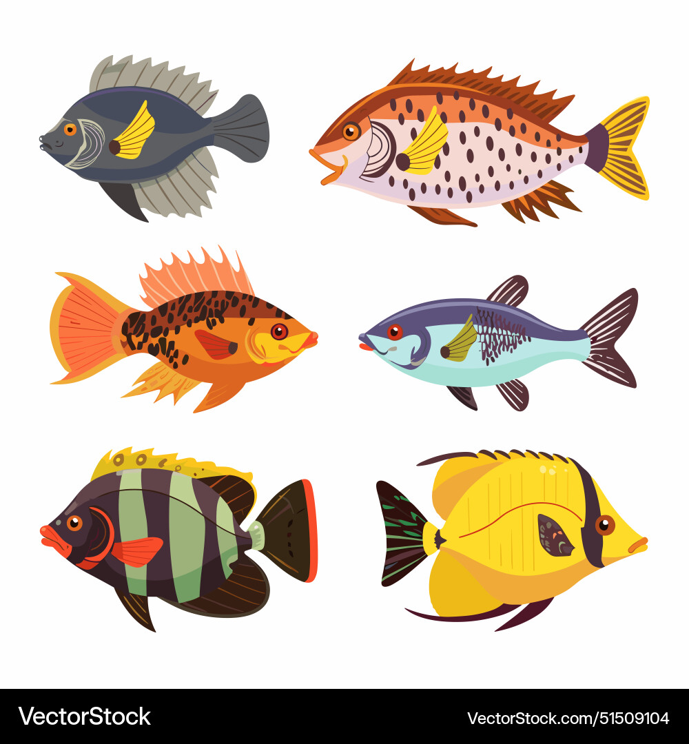Colorful tropical fish species flat Royalty Free Vector