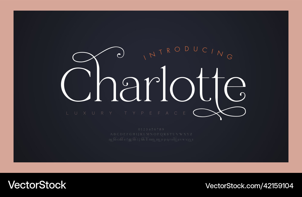 Elegant wedding alphabet letters font and number Vector Image