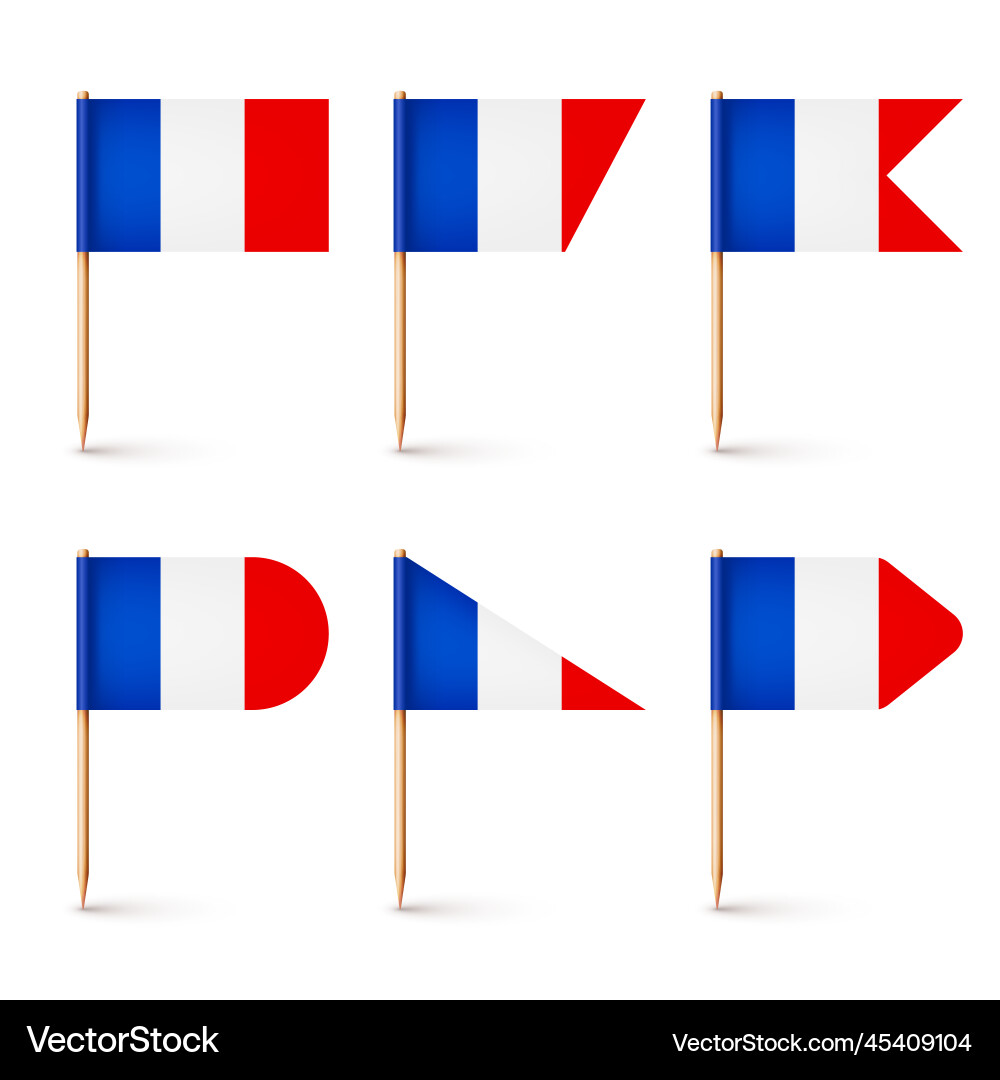 Realistic various french toothpick flags souvenir Vector Image