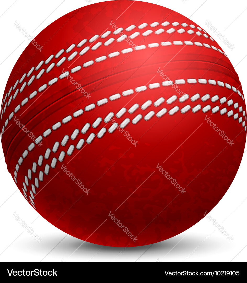 Cricket ball Royalty Free Vector Image - VectorStock