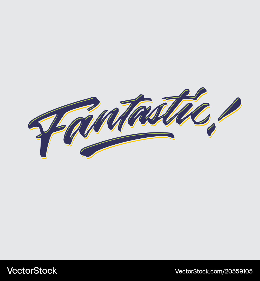 Fantastic hand lettering typography compliment Vector Image