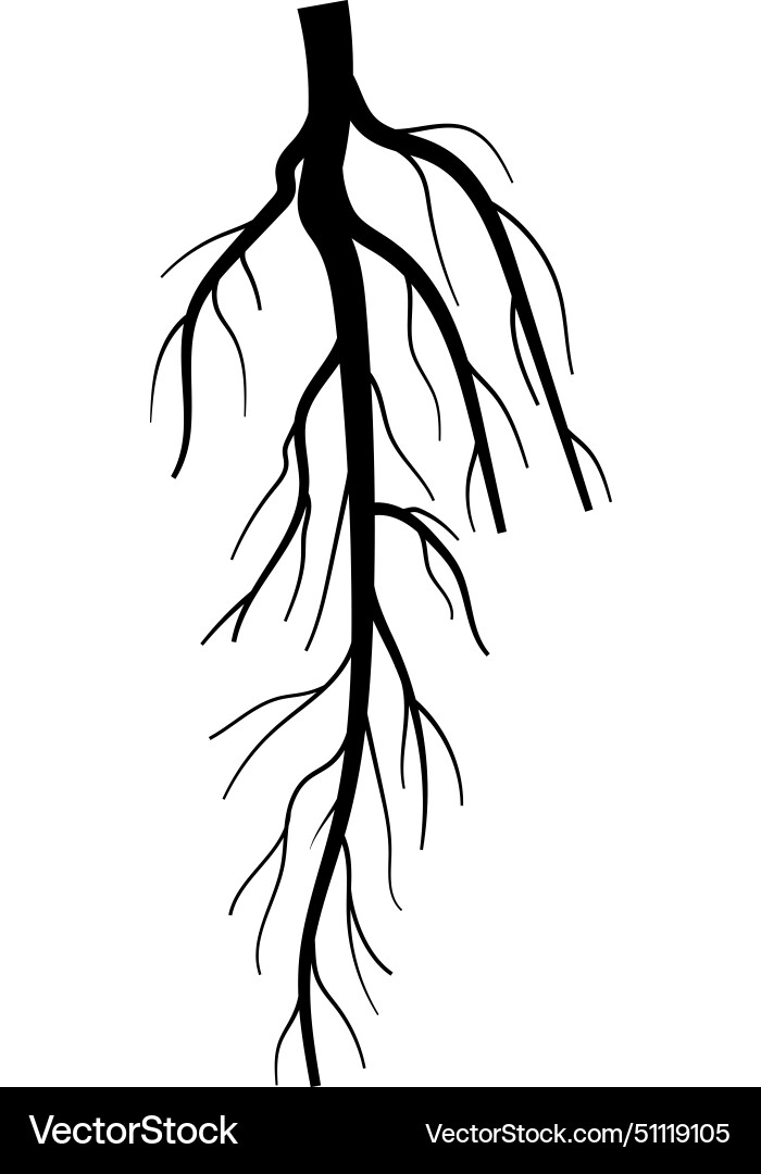 System tree root cartoon Royalty Free Vector Image
