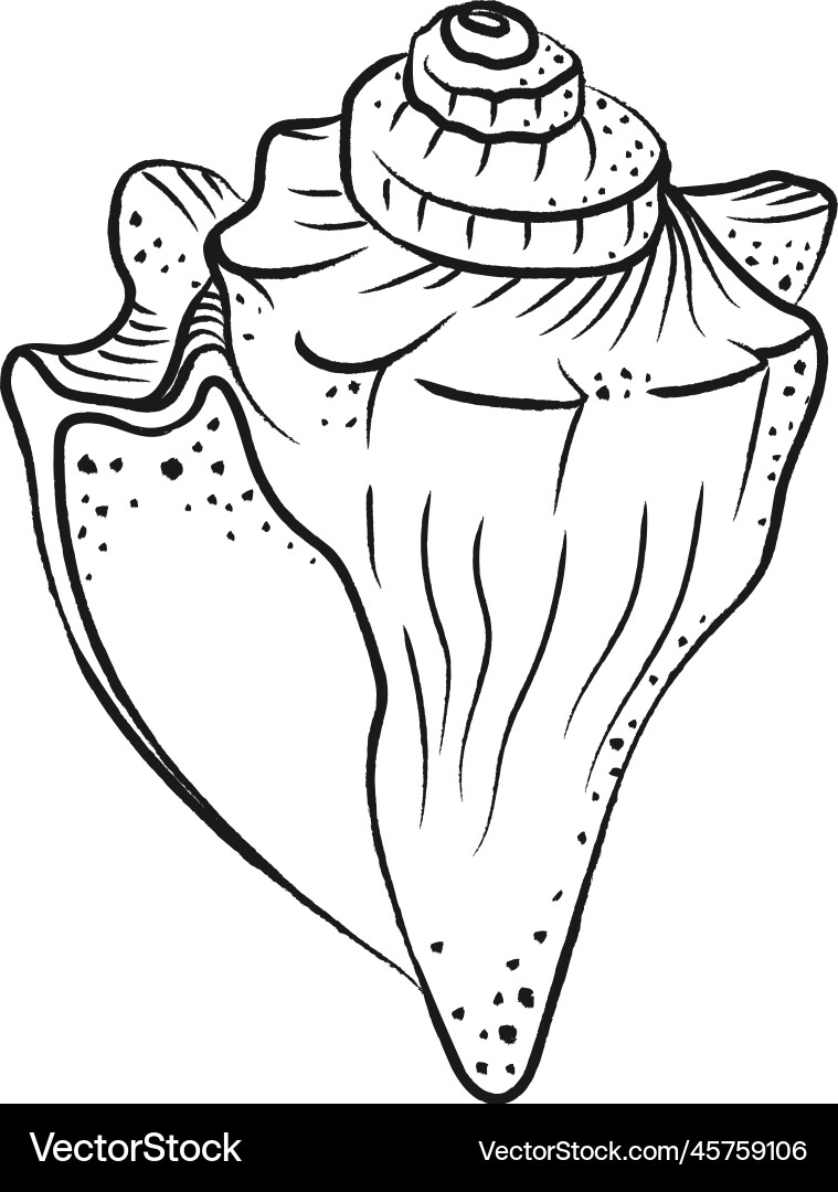 Conch seashell abstract boho sketch doodle style Vector Image
