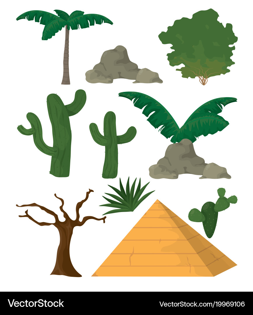 Desert plants and elements Royalty Free Vector Image