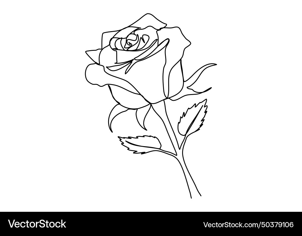 Flower one line drawing Royalty Free Vector Image