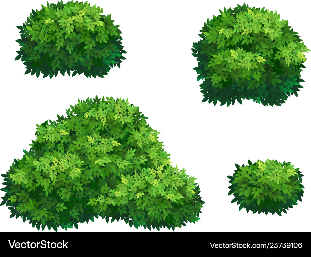 Green Shrubbery Collection Royalty Free Vector Image