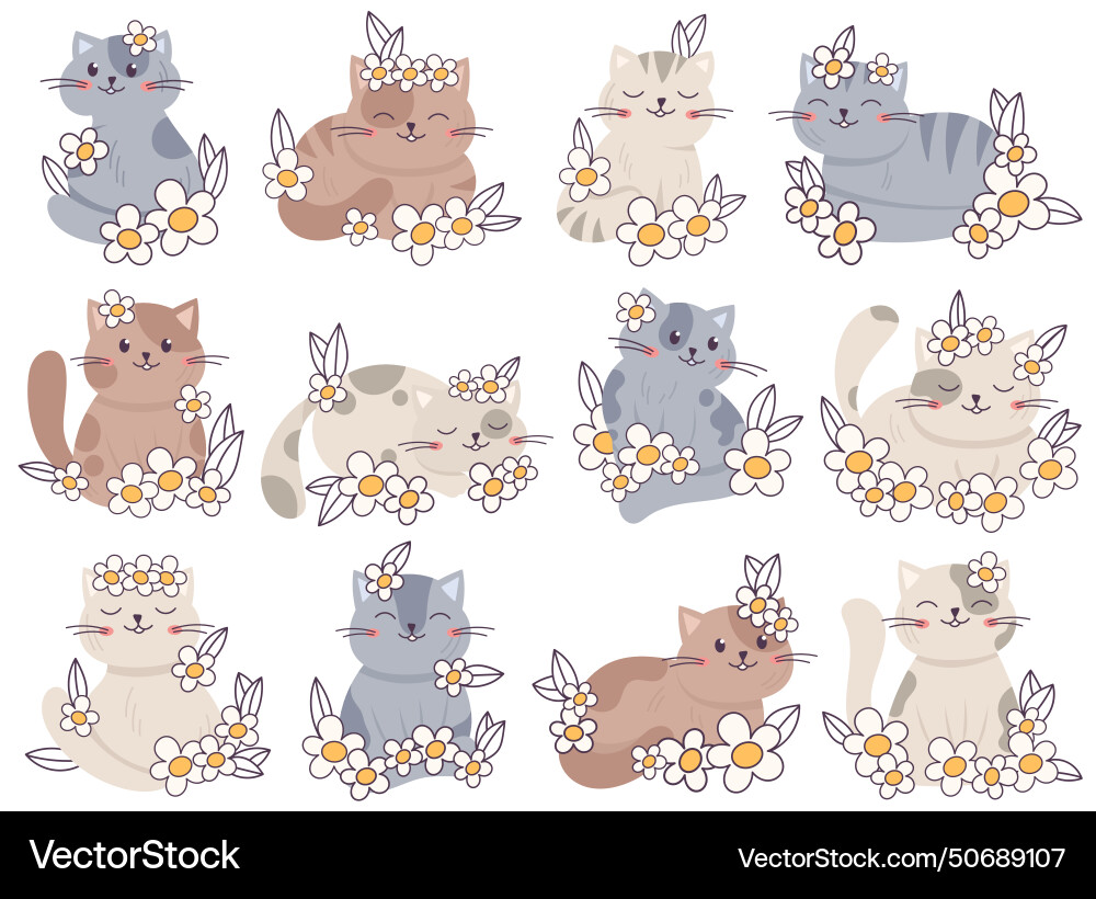 Beautiful cats animal characters with daisy Vector Image