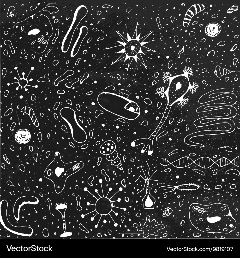 Biology background Royalty Free Vector Image - VectorStock