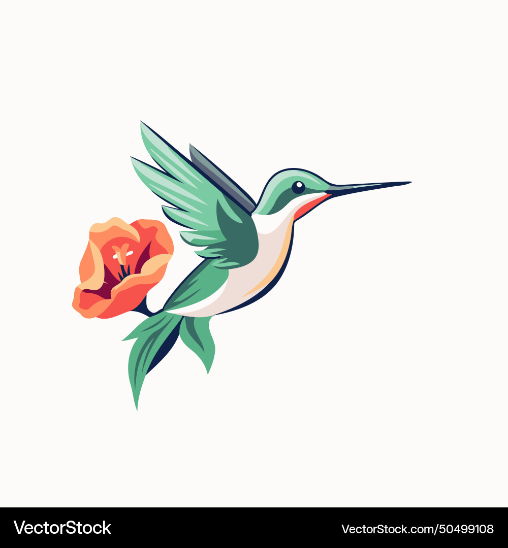 Hummingbird with red rose on white background Vector Image
