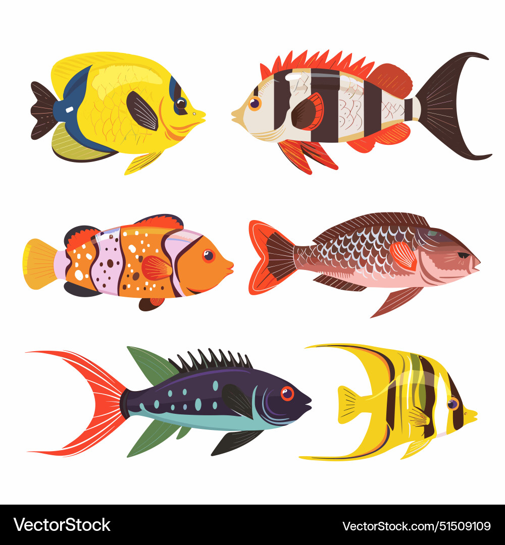 Collection colorful tropical fish Royalty Free Vector Image