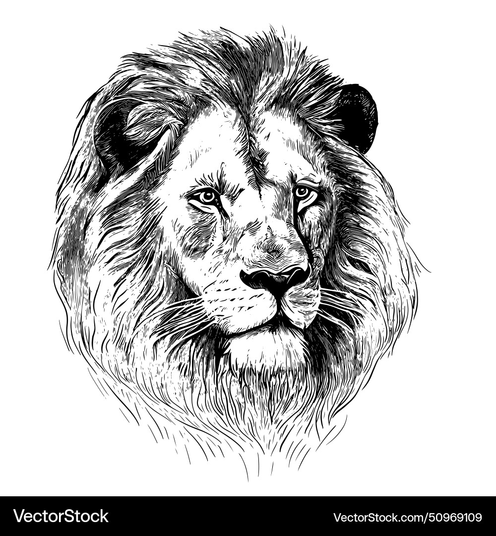 Lion head label hand drawn sketch Royalty Free Vector Image