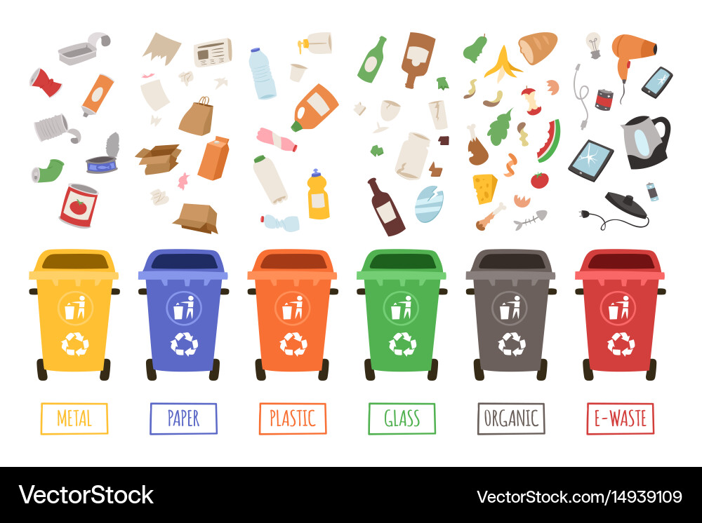 Waste management concept segregation separation Vector Image