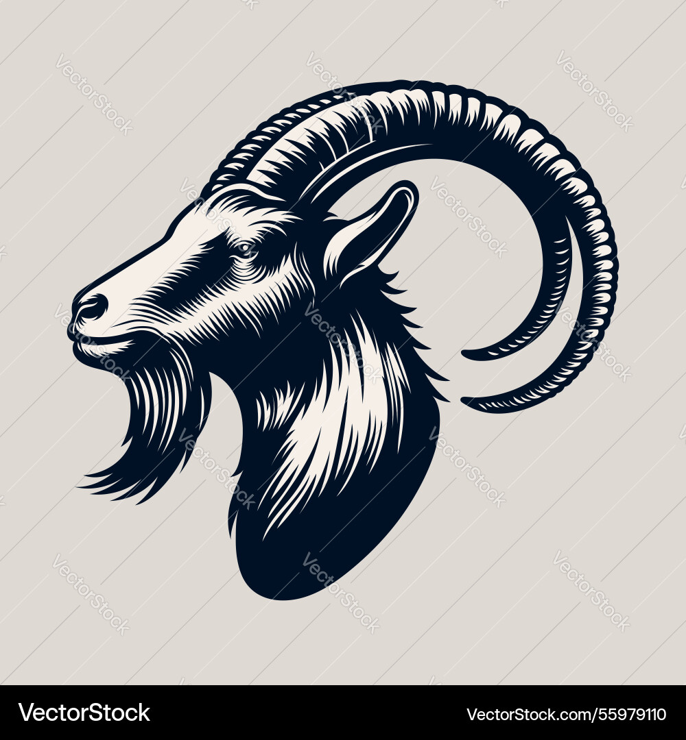 Goat head Royalty Free Vector Image - VectorStock