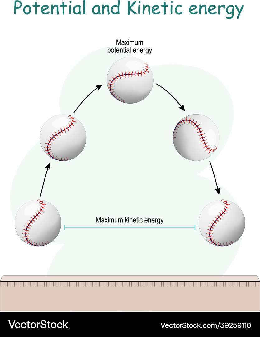 Potential and kinetic energy for example baseball Vector Image