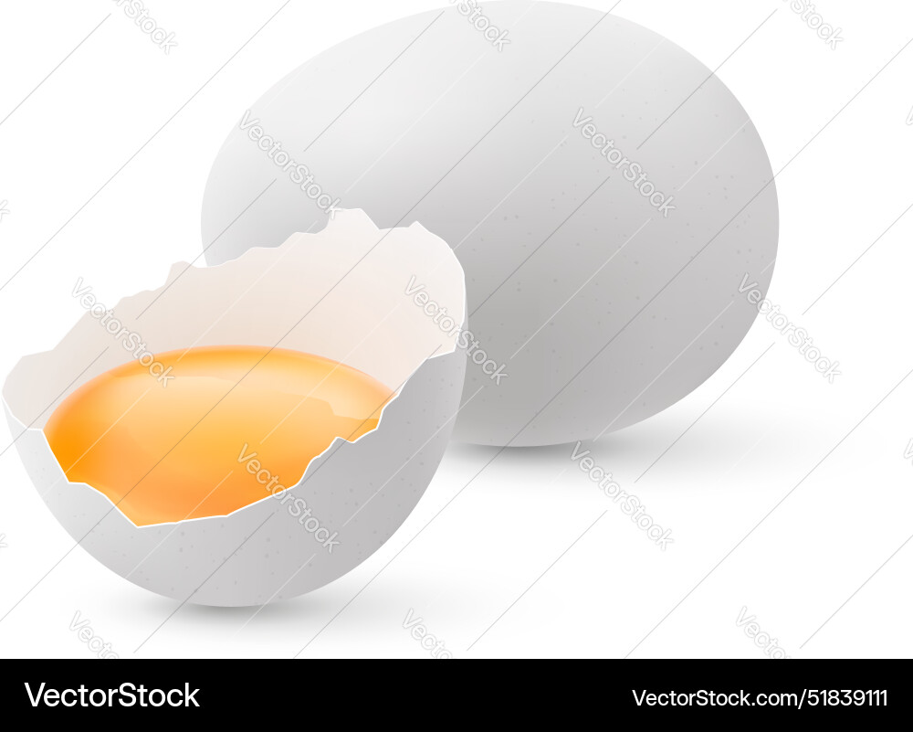 Chicken eggs Royalty Free Vector Image - VectorStock