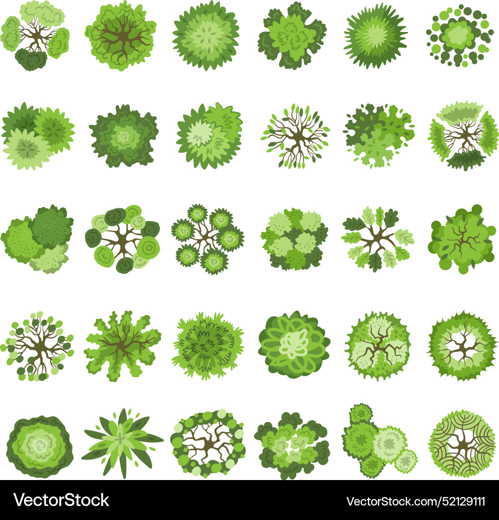 Trees collection map top view plants park garden Vector Image