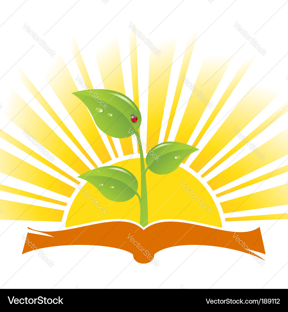 Open Book Sun Vector Images (over 920)