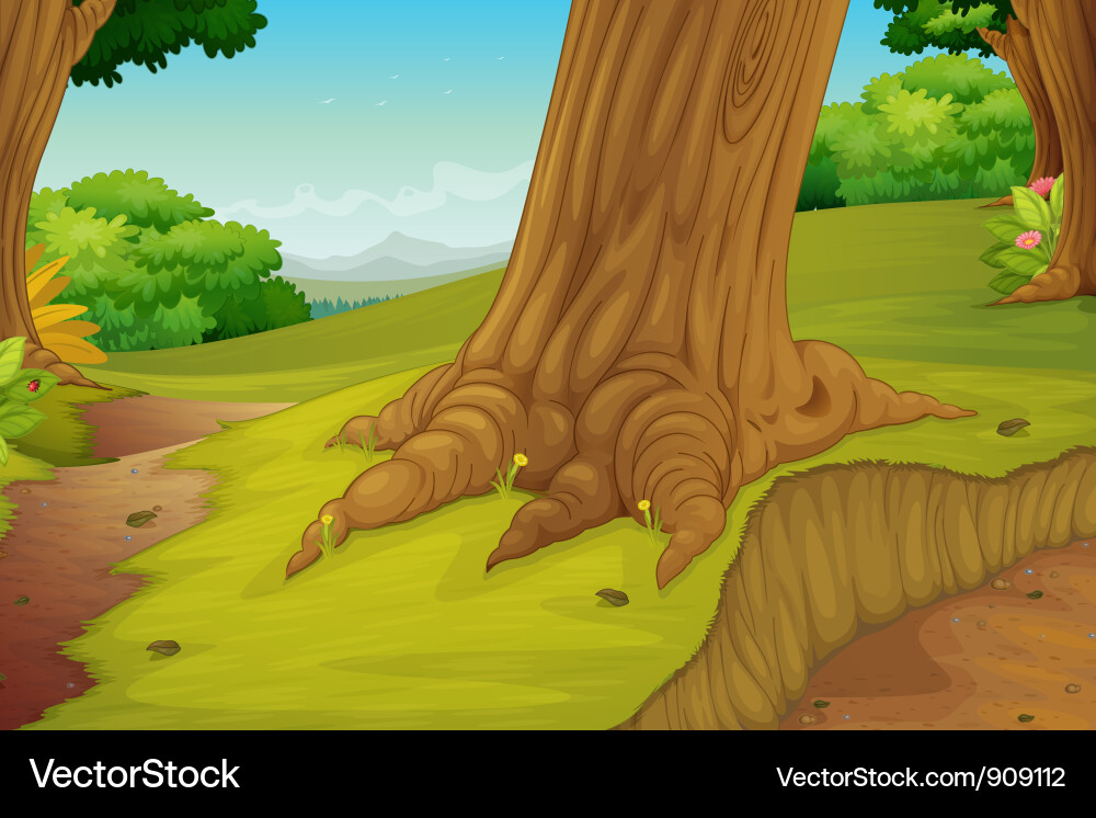 Forest Royalty Free Vector Image - VectorStock