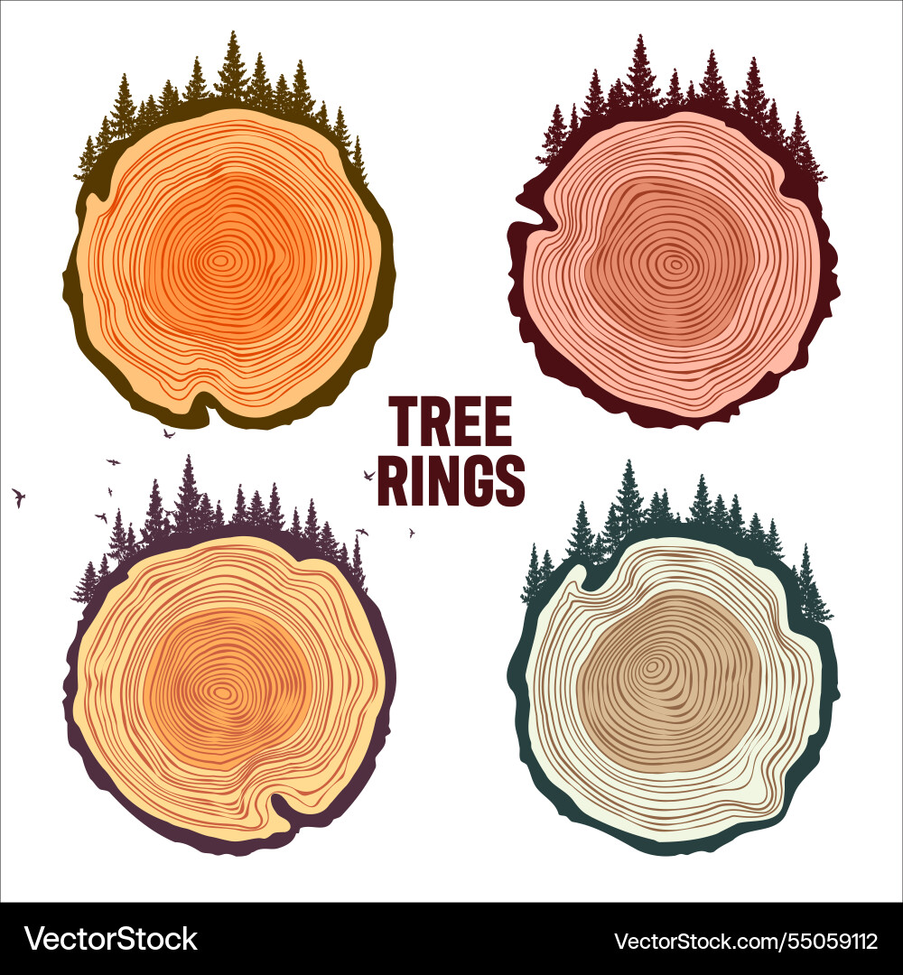 Round tree trunk cuts with trees forest and birds Vector Image