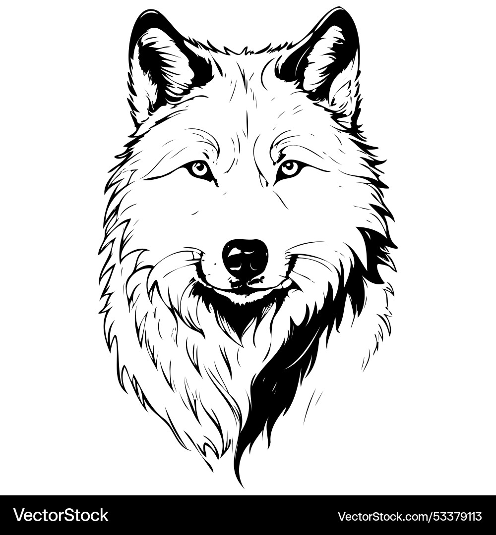 Arctic wolf portrait engrave hand drawn animal Vector Image