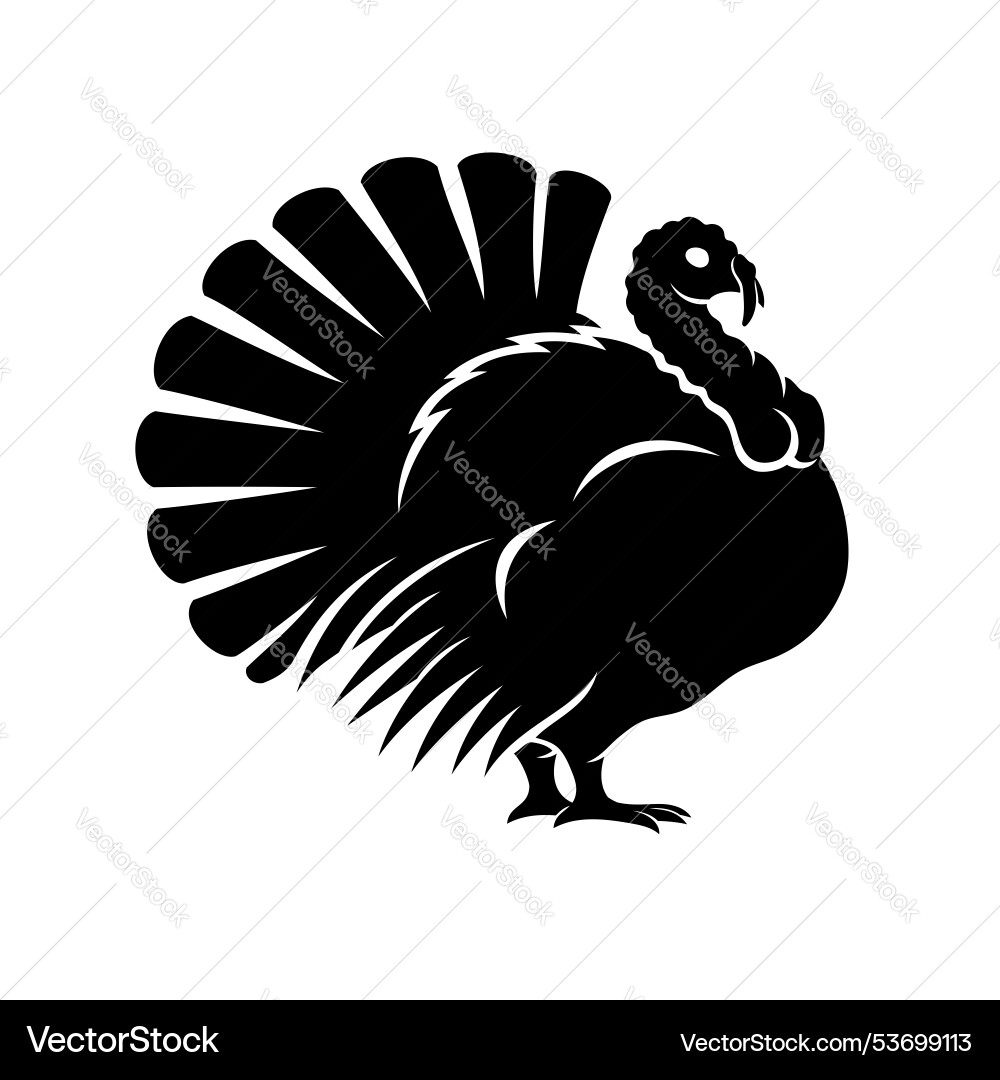 Cartoon Turkey Feathers Vector Images (over 2,000)