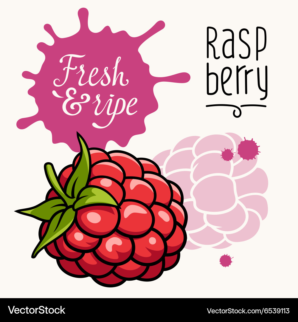 Raspberry concept 001 Royalty Free Vector Image