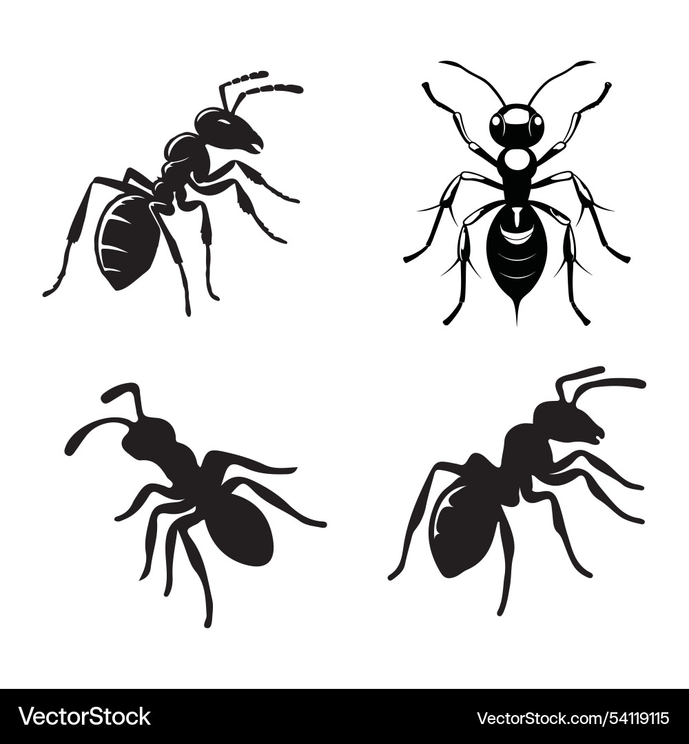 Creative ant designs silhouette amazing Royalty Free Vector