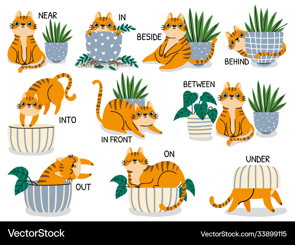 English prepositions educational visual material Vector Image