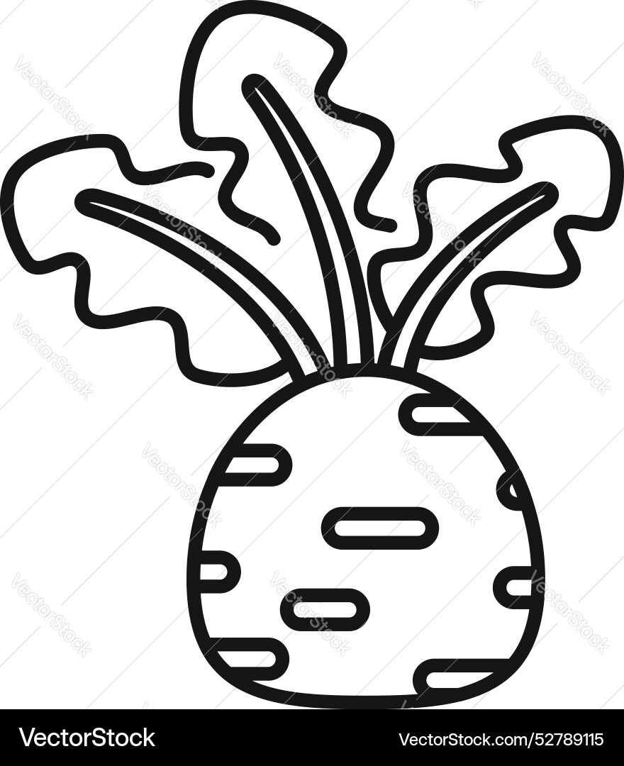 Line icon style fresh beetroot with leaves showing