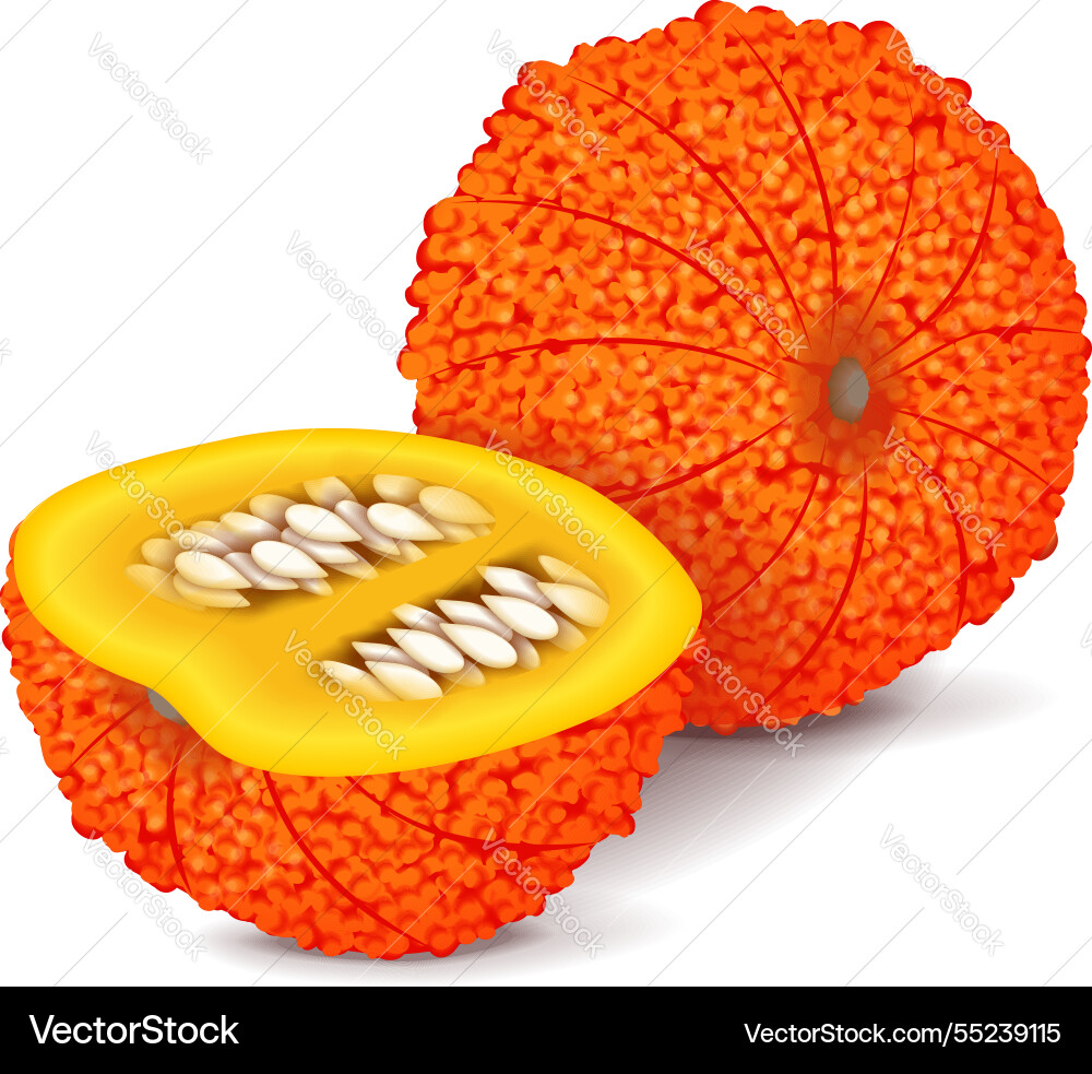 Whole and chopped red warty thing pumpkin Vector Image