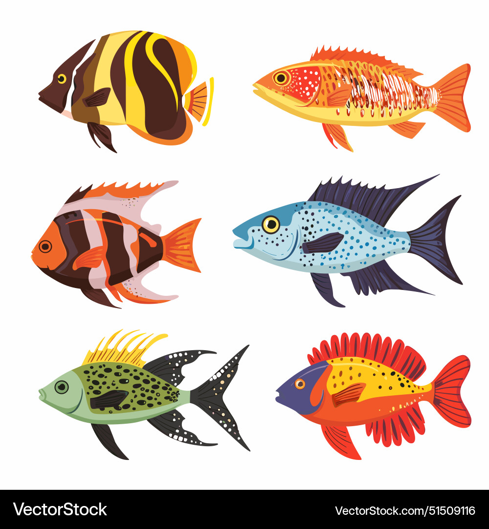 Colorful tropical fish showcasing Royalty Free Vector Image