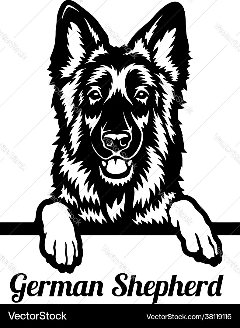 German Shepherd Head - Peeking Dog Royalty Free Vector Image