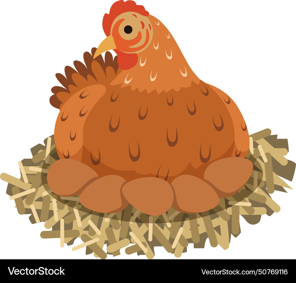 Hen hatching eggs farm bird mother poultry Vector Image