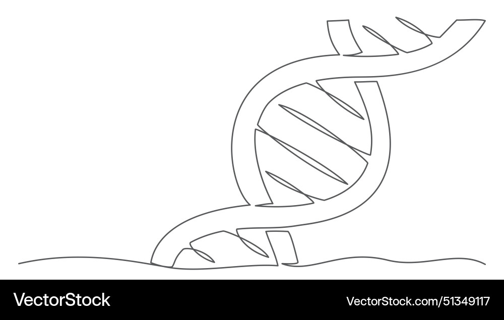 Dna one line drawing on white background Vector Image