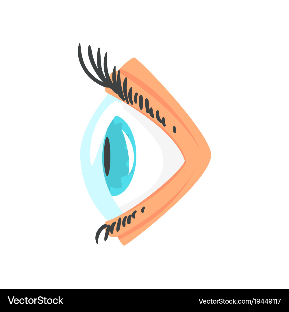 Human eye with contact lense side view cartoon Vector Image