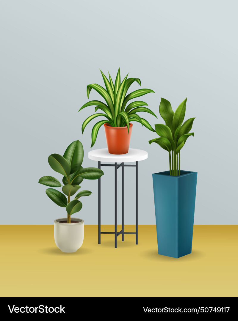 Realistic plants house Royalty Free Vector Image