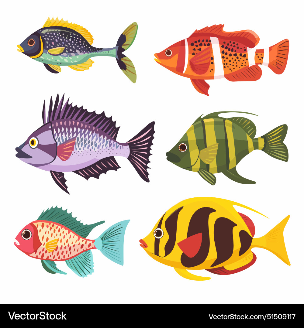 Set six colorful tropical fish Royalty Free Vector Image