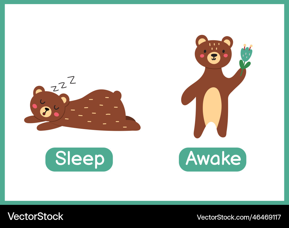 Sleep and awake opposite adjectives educational Vector Image