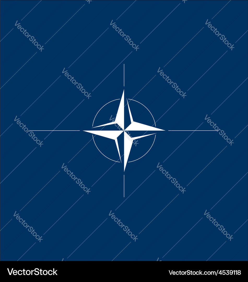 Logo Flagge von nato Lizenzfreies Vektorbild