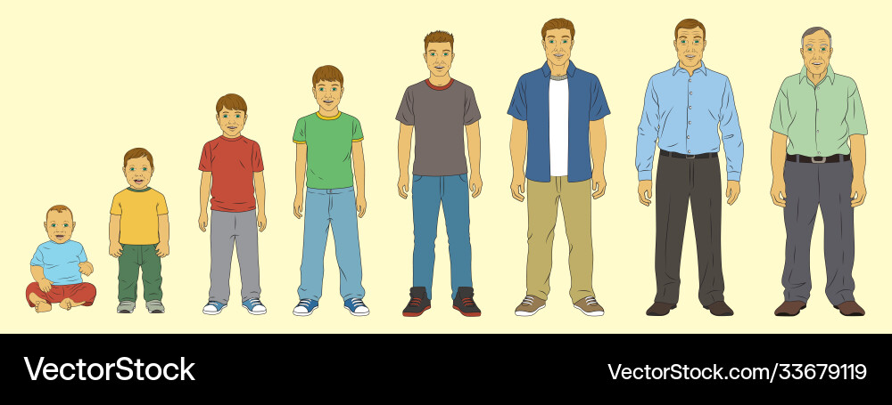 Male age progression Royalty Free Vector Image