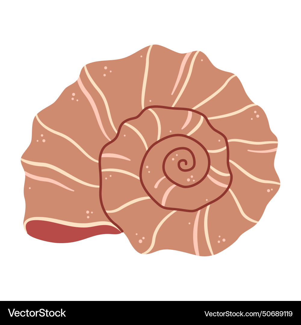 Seashell hand drawn ammonite cartoon style flat Vector Image