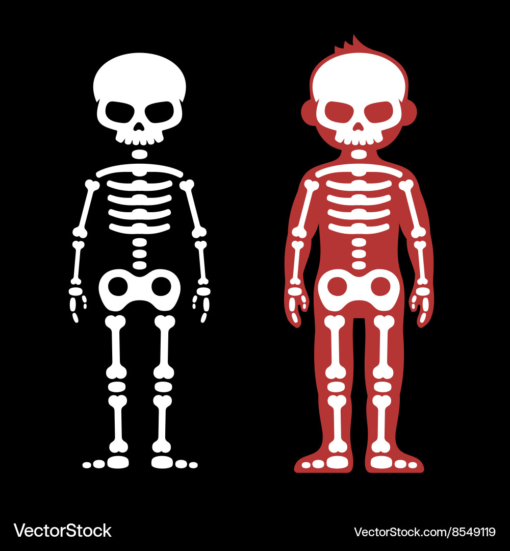 Skeletons human bones set cartoon style Royalty Free Vector