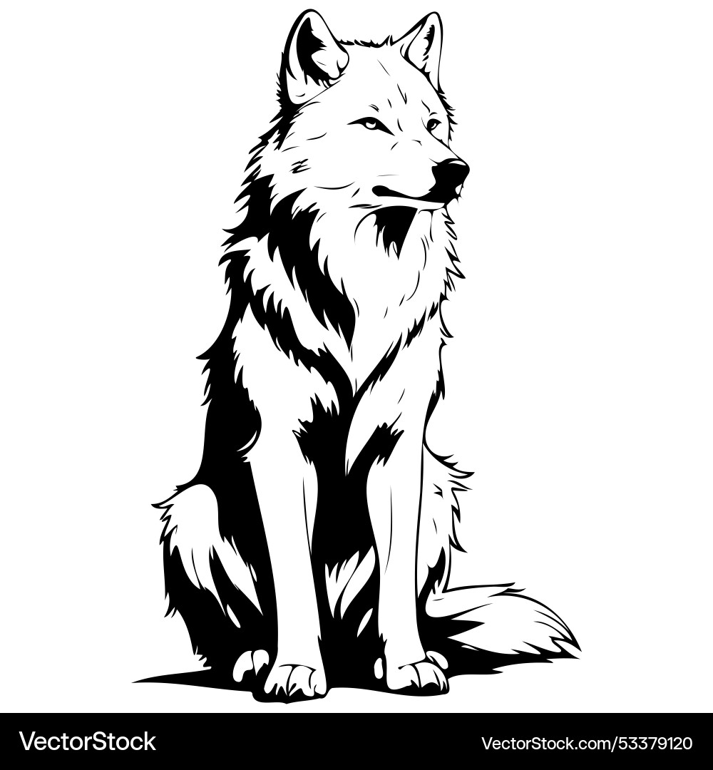 Arctic wolf sitting realistic ink sketch Vector Image