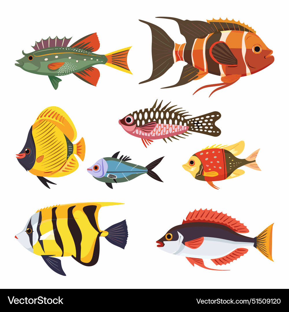Collection colorful tropical fish Royalty Free Vector Image