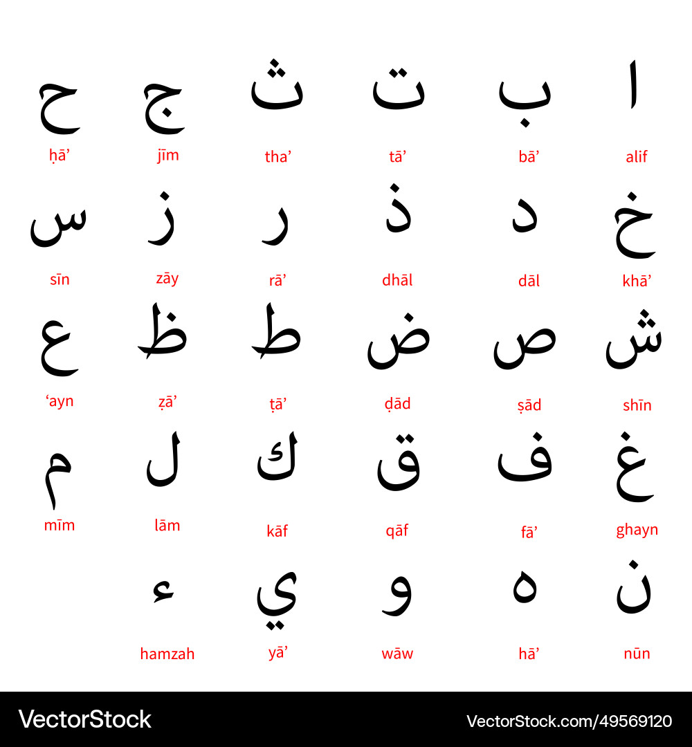 Hijaiyah arabic letters on white background Vector Image