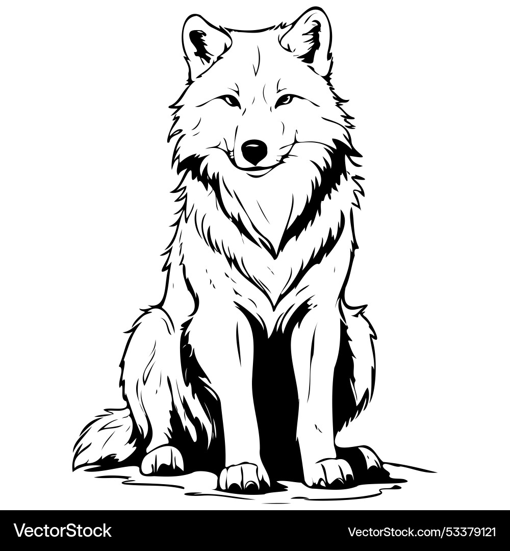 Arctic wolf sitting sketch realistic animal Vector Image