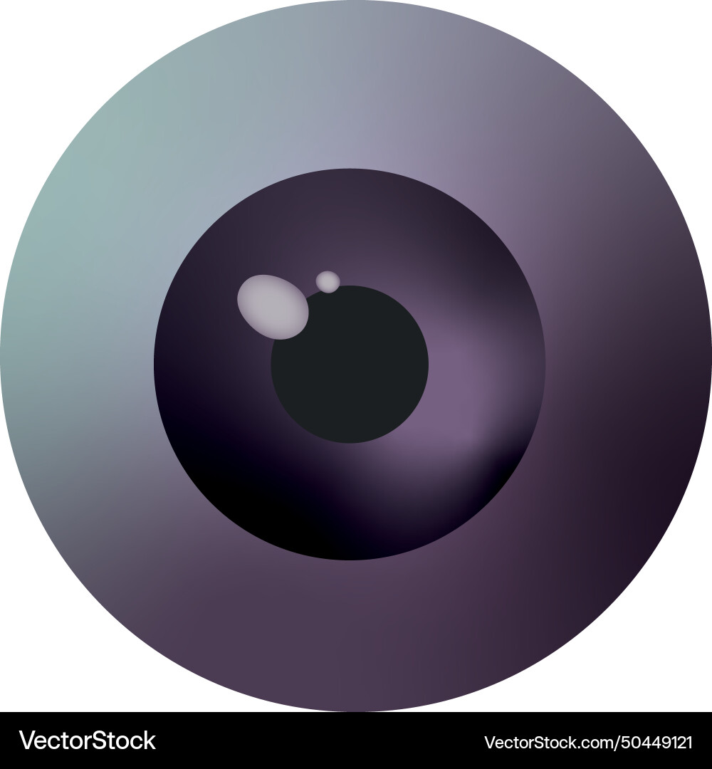 Colored detailed eyeball Royalty Free Vector Image