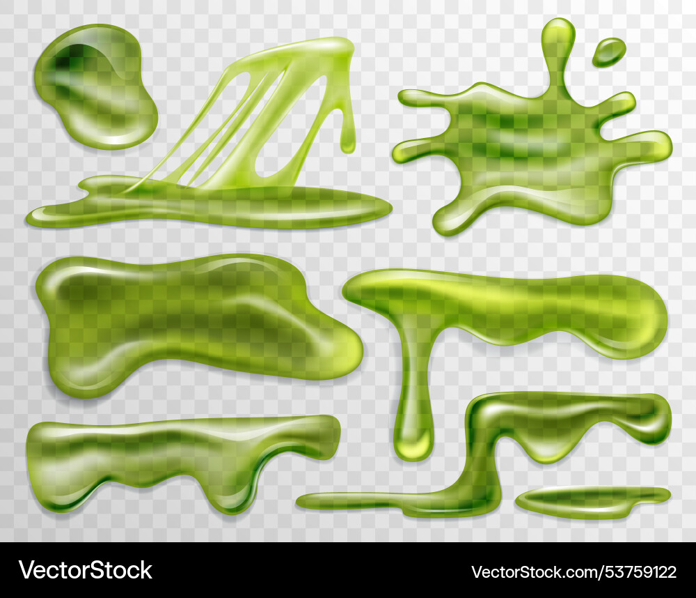 Green slime liquid blots and drops set top view Vector Image