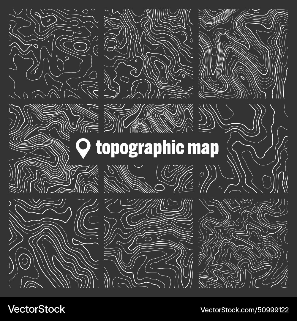 Topographic map with contour lines geographic Vector Image