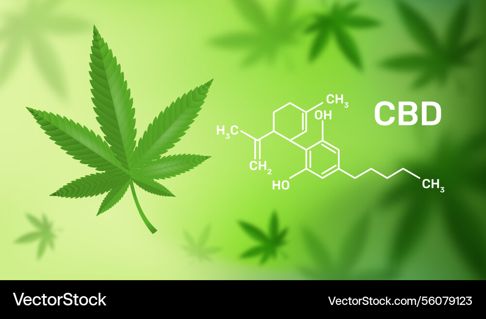 Cbd marijuana background Royalty Free Vector Image